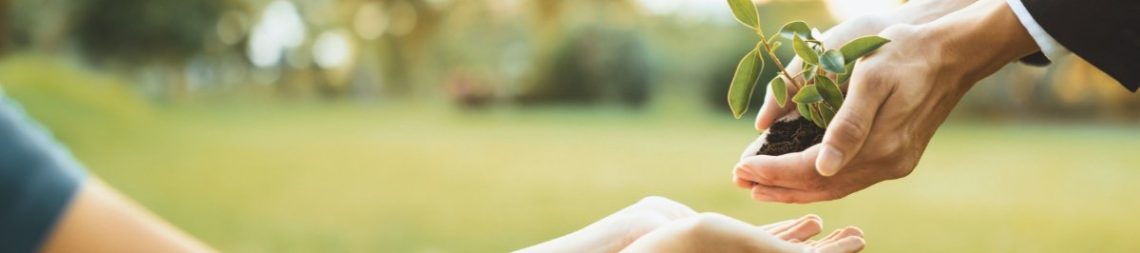 10 Simple ecological actions for a greener future in 2025 • Ecogarantie